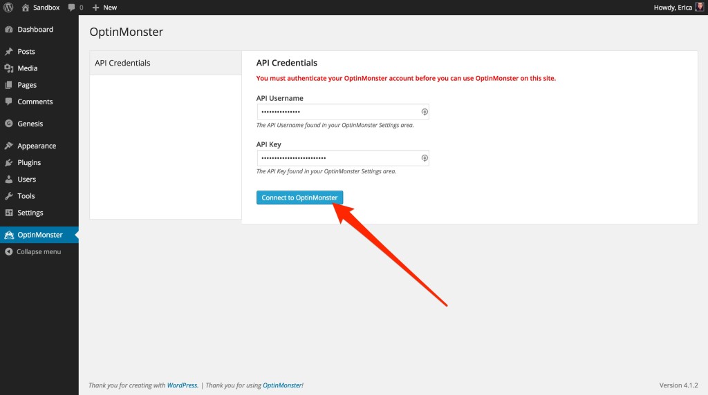 How to Install the OptinMonster WordPress Plugin