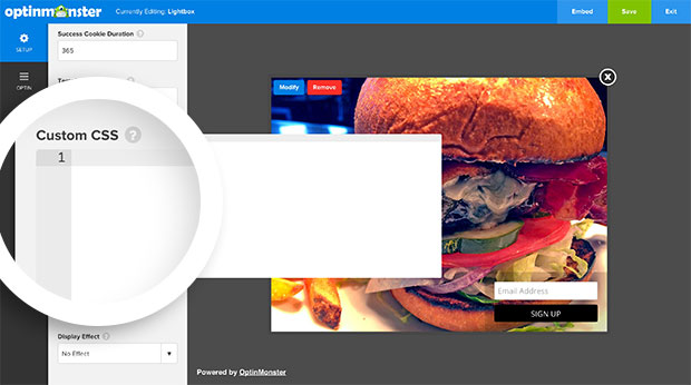 How to Use OptinMonster's Custom CSS Tool