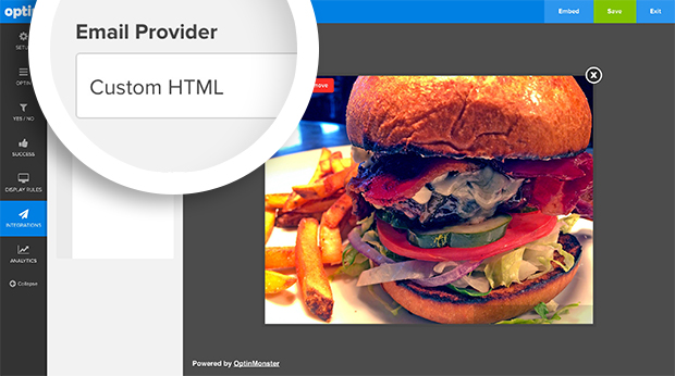 How to Connect OptinMonster with any Email Service Provider using our ...