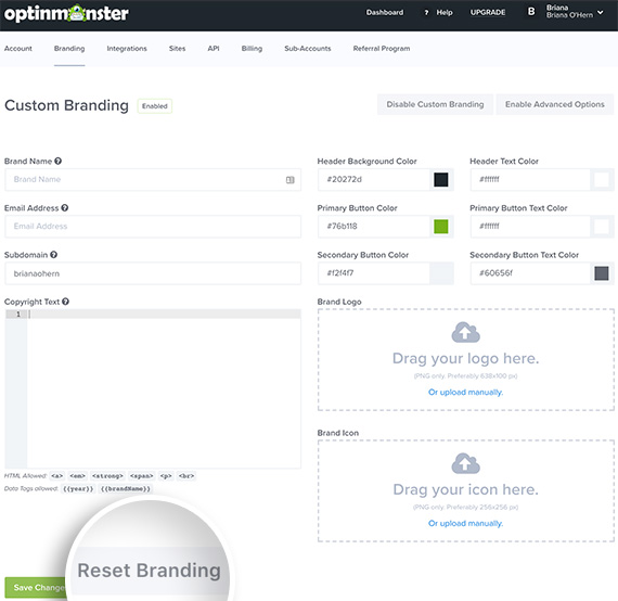 How to Use OptinMonster’s Custom Branding Feature - OptinMonster